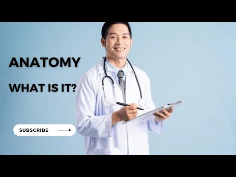 Anatomy - What is it?