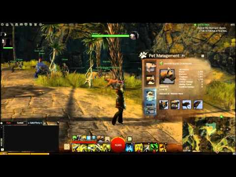 Steam Community :: Video :: Guild Wars 2 - Ranger Pet Guide - Krytan ...