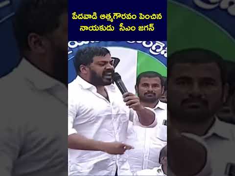 Ysrcp Anil Kumar Yadav
