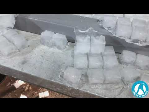 Ice Cube Machine (TAMUTOM)