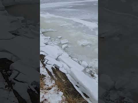 Houghton Lake Tip up town 2023