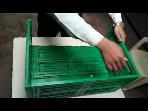 Plastic Vegetable Crate - Fruit Crates Latest Price, Manufacturers ...
