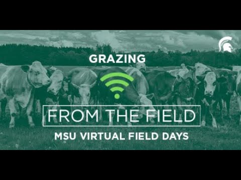 Virtual Grazing Field Day