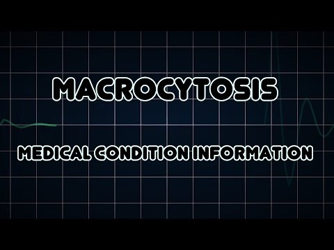 Macrocytosis (Medical Condition)