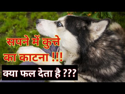 सपने में कुत्ते का काटना | Sapne mein kutte ka katna | Dream of biting dog | Dog dream meaning
