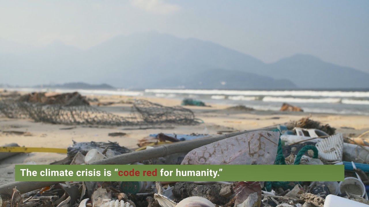 Introducing the Youth Empowerment in Climate Action Platform