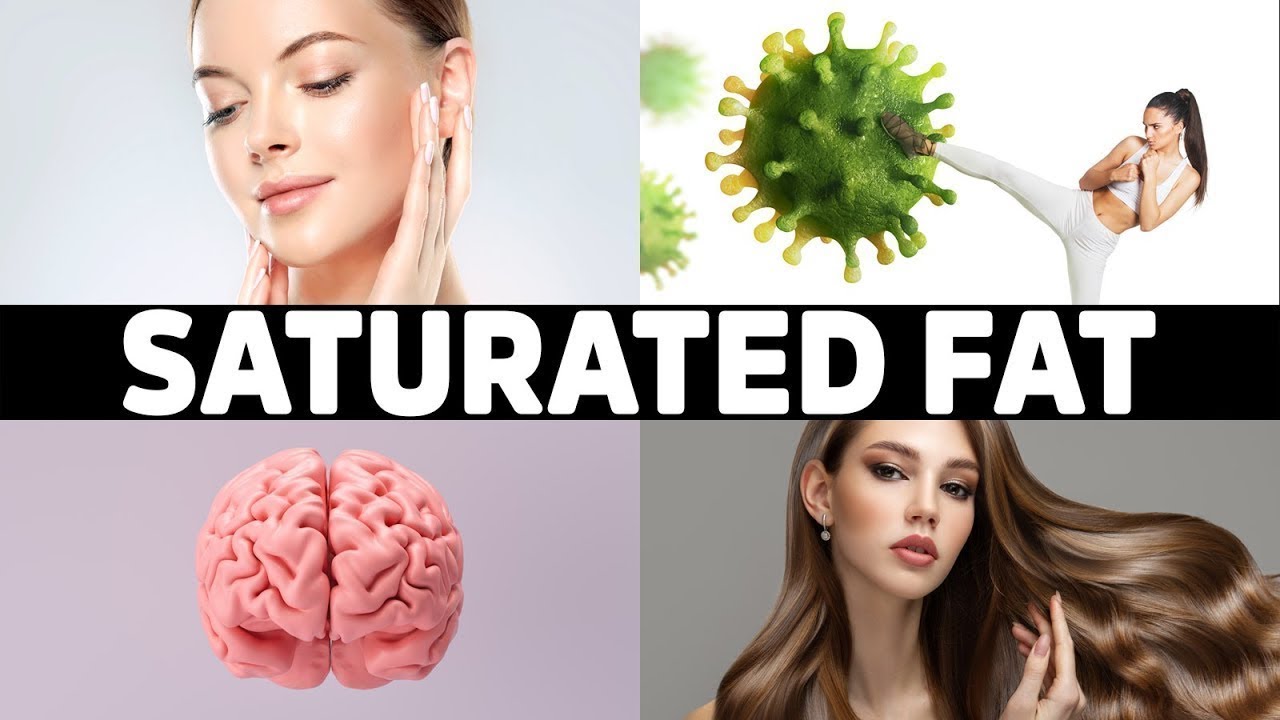 12 Reasons to Embrace Saturated Animal Fats for Better Health | Galaxy.ai