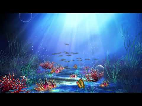 ???????? Under the Sea Ocean Coral Reef Scene Animated VJ Loop Video Background for Edits