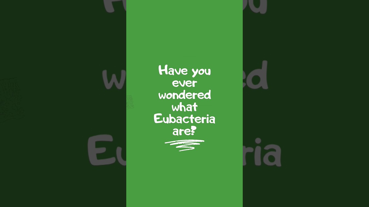 Eubacteria - Kingdom Monera - Biological Classification- Class 11 -Biology NEET UG- #biology #shorts