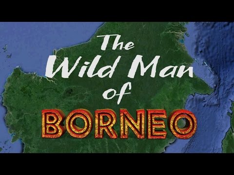The Wild Man Of Borneo 2015