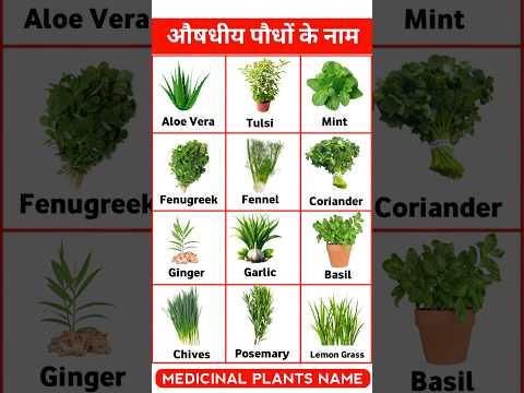 Medicinal plants name ????????, #shorts #shortsfeed #plantsname #plant