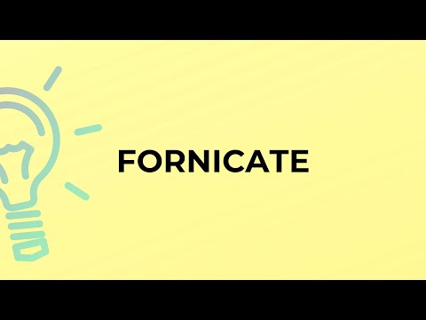 What is the meaning of the word FORNICATE?