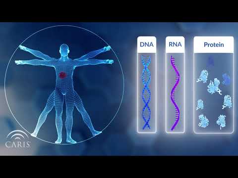 What's in a Cell? | Central Principles of Molecular Biology