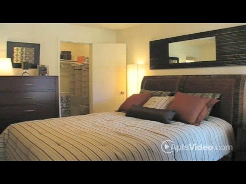 Montelano, 1 & 2 Bedroom Apartments for Rent in Phoenix, AZ