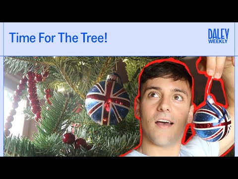 Time For The Tree! I Tom Daley