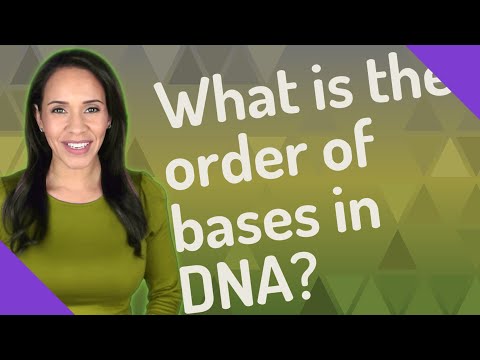 What is the order of bases in DNA?