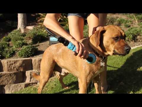 RinseKit Portable Shower for Your Pet - A Dog Wash You Can Take Anywhere