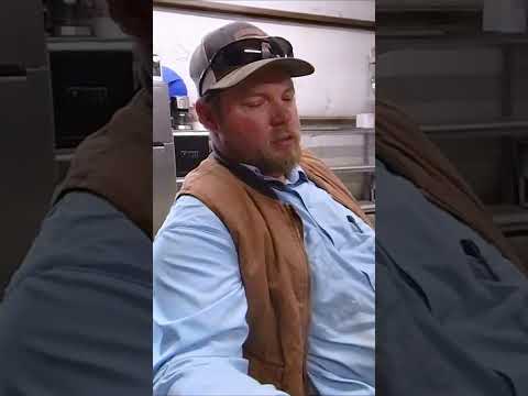 How to Maximize Profit from Cattle Farming A 3 Year Investment Strategy