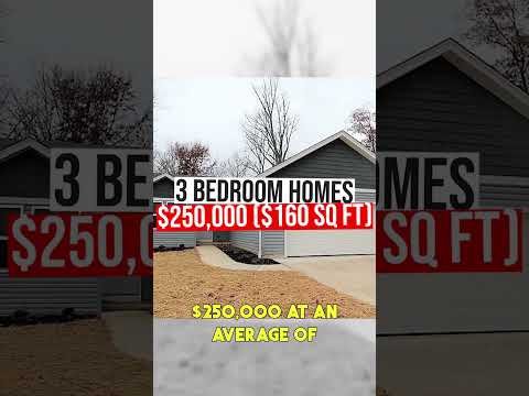 What types of homes are in Batavia Township, Ohio?