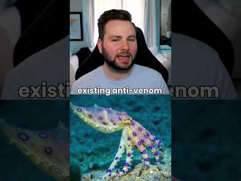 Animal Facts that you probably didn't know before #new #duet #animallife #animalfacts #animals