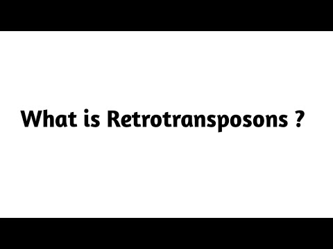 What is Retrotransposons ?