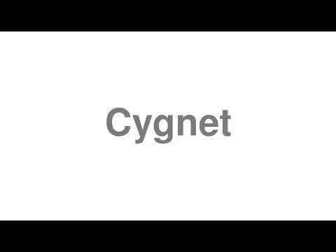 How to Pronounce "Cygnet"