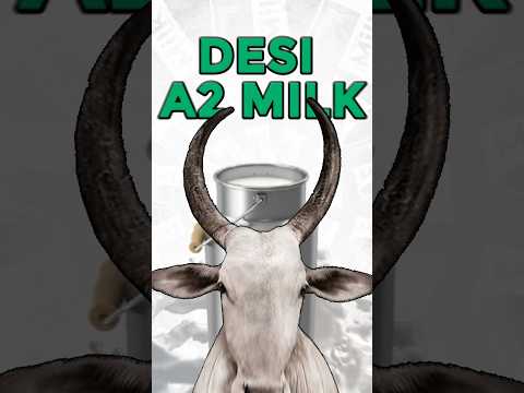 Switch to A2 milk from Desi cows for better digestion, no bloating, and sustainable farming!