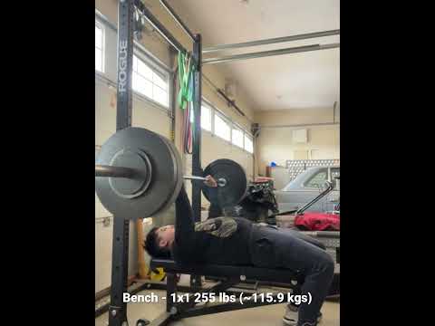 Bench - 1x1 255 lbs (~115.9 kgs). Heaviest single in awhile. Getting the strength back!