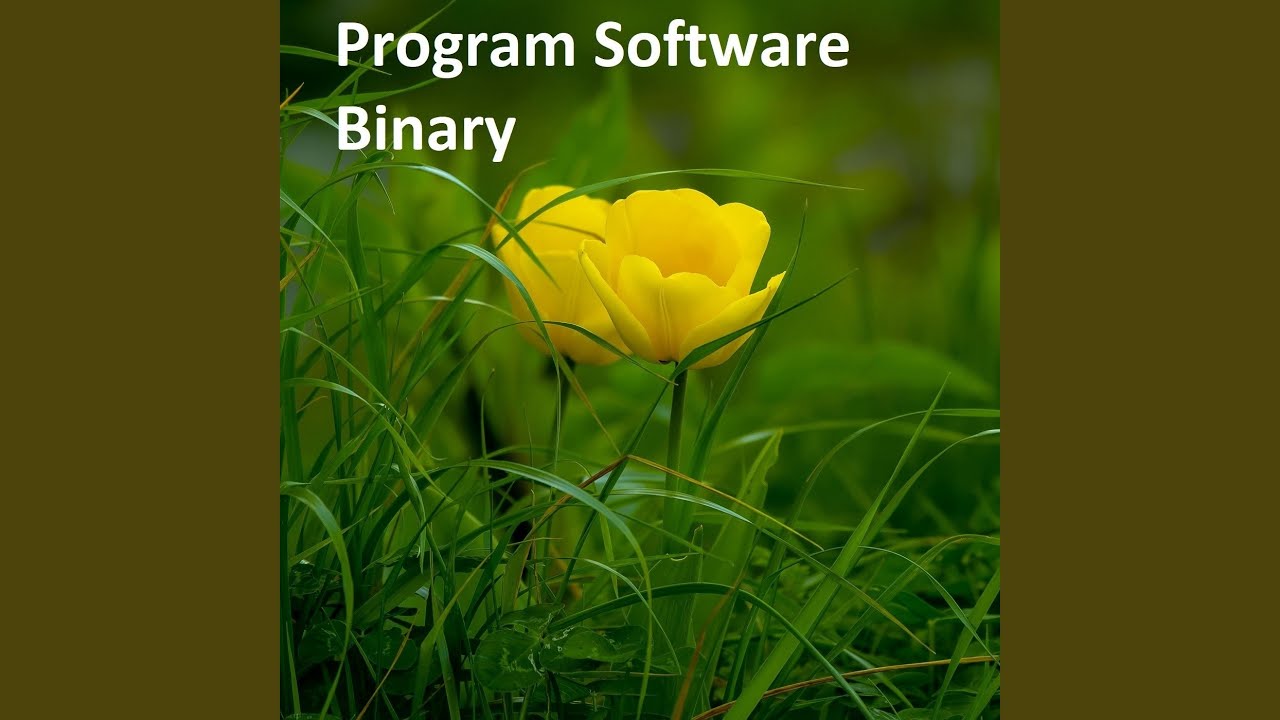 Program Software Binary