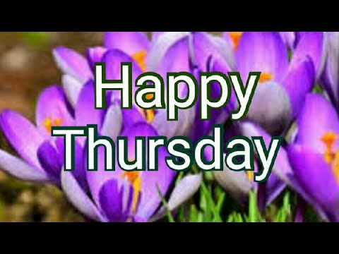Good morning thursday images, best good morning images & beautiful flowers images