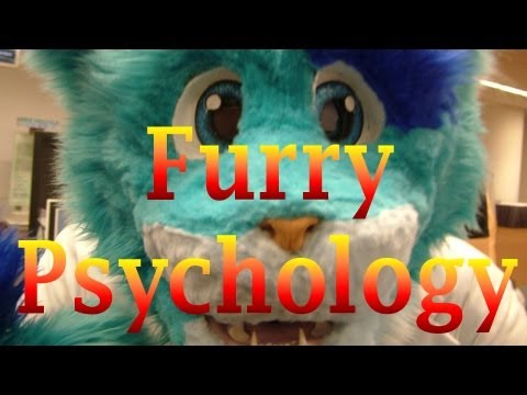The Social Psychology of The Furry Fandom at Texas Furry Fiesta 2013