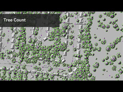 How Urban Tree Canopy Mapping is Keeping Cities Cool