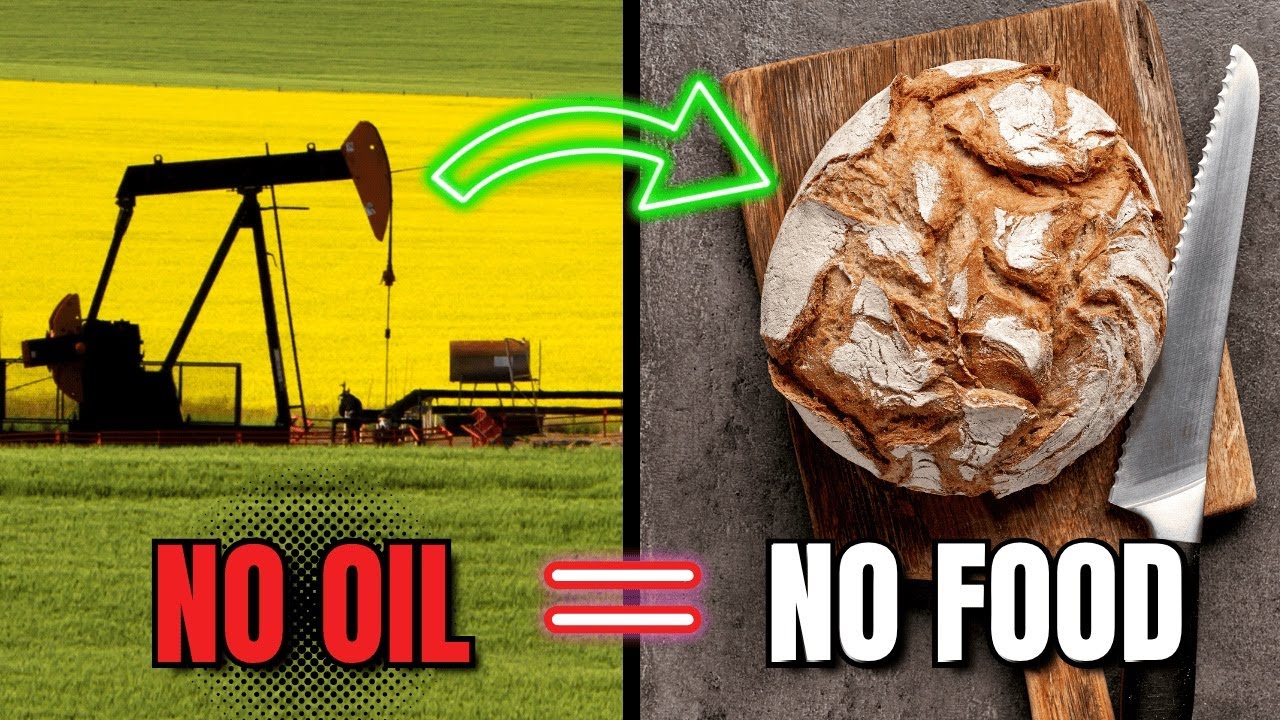 Beyond Fuel: The Terrifying Truth About Our Oil Addiction