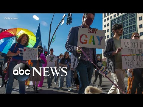 What a national 'Don't Say Gay' bill would mean for education