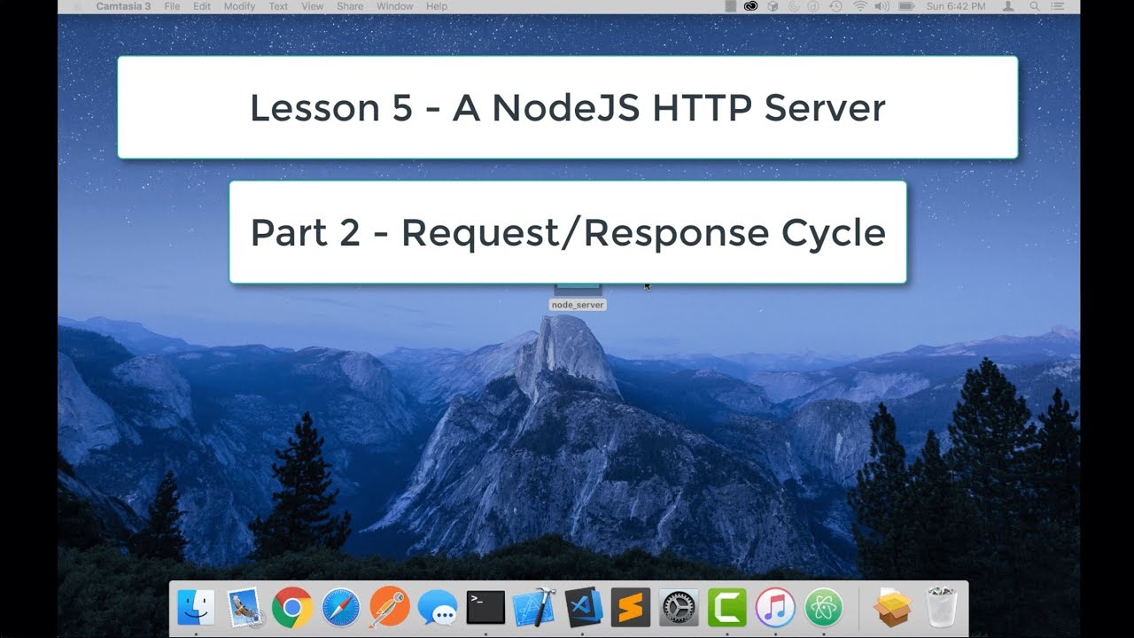 Request - Response Cycle with a NodeJS Server