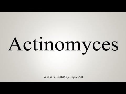 How To Say Actinomyces