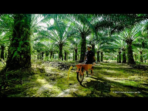 PT Austindo Nusantara Jaya Tbk. - Company Profile