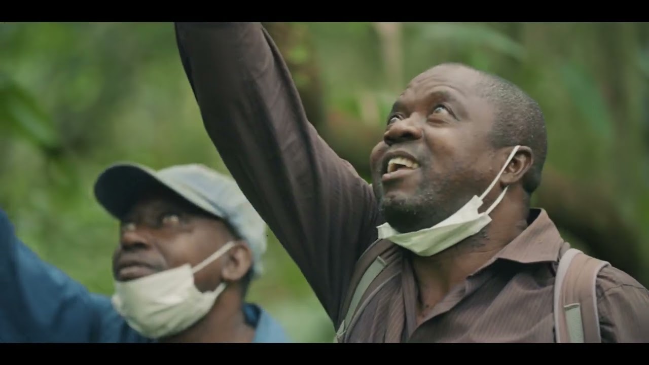 Bringing Conservation to Life - Synchronicity Earth