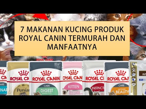 7 MAKANAN KUCING PRODUK ROYAL CANIN TERMURAH DAN MANFAATNYA