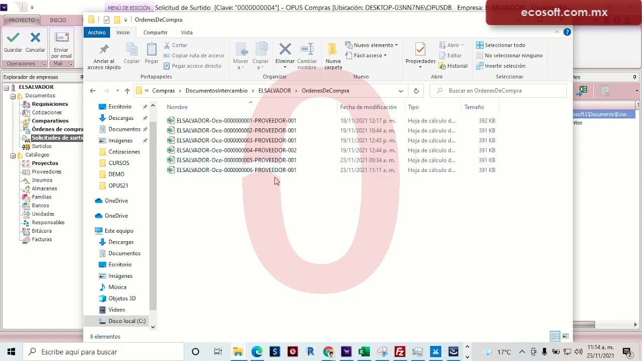 Ecosoft - Desarrollo de Software Profesional