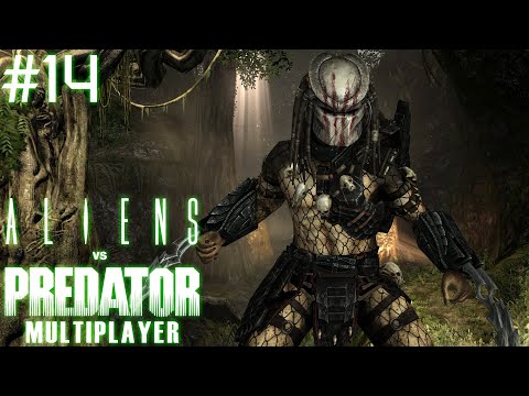 Steam Community :: Video :: Aliens vs. Predator [2010] - Multiplayer #14