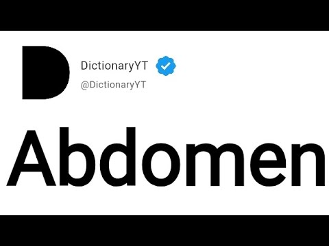 Abdomen Meaning in English