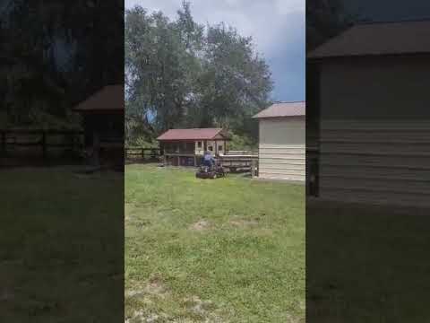 REDNECK TRAILER RELOCATION SERVICES