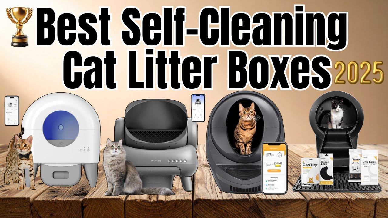Best 5 Self-Cleaning Cat Litter Boxes for a Fresh Home in 2025