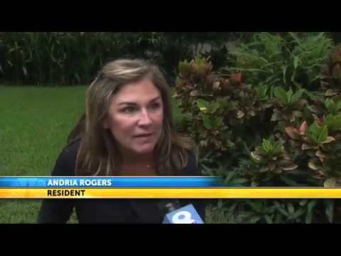 b 2437 economics go WFLA Pothole problems in Tampa still exist