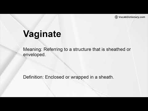 Vaginate Meaning