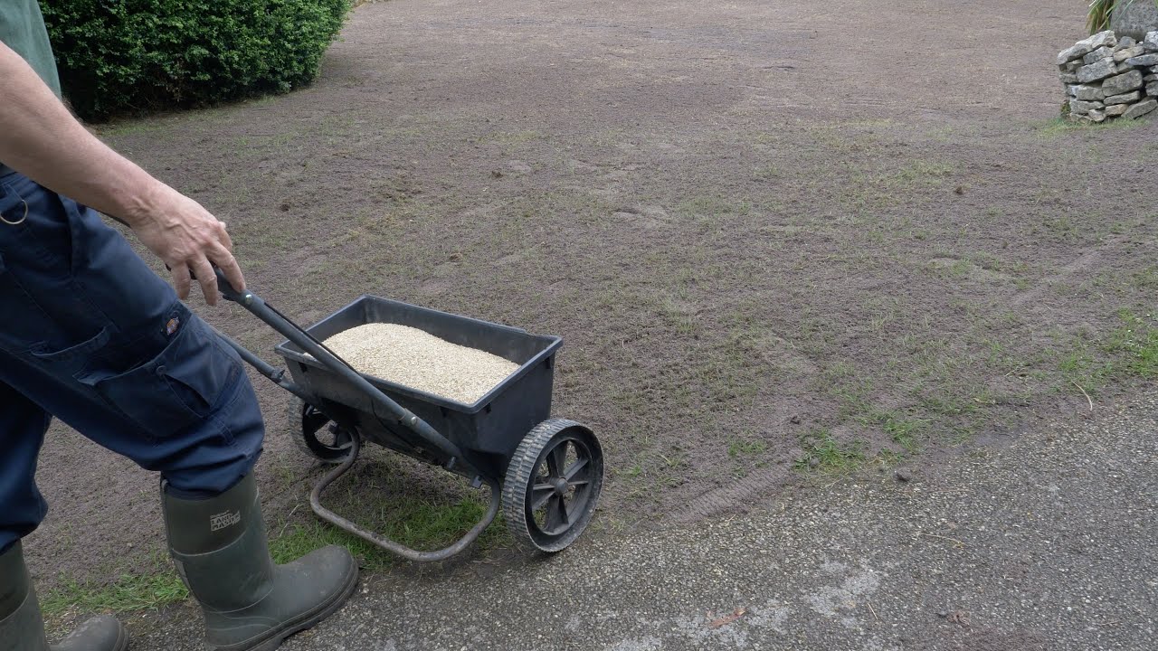 Lawn Master - Over Seeding with Colin Parish