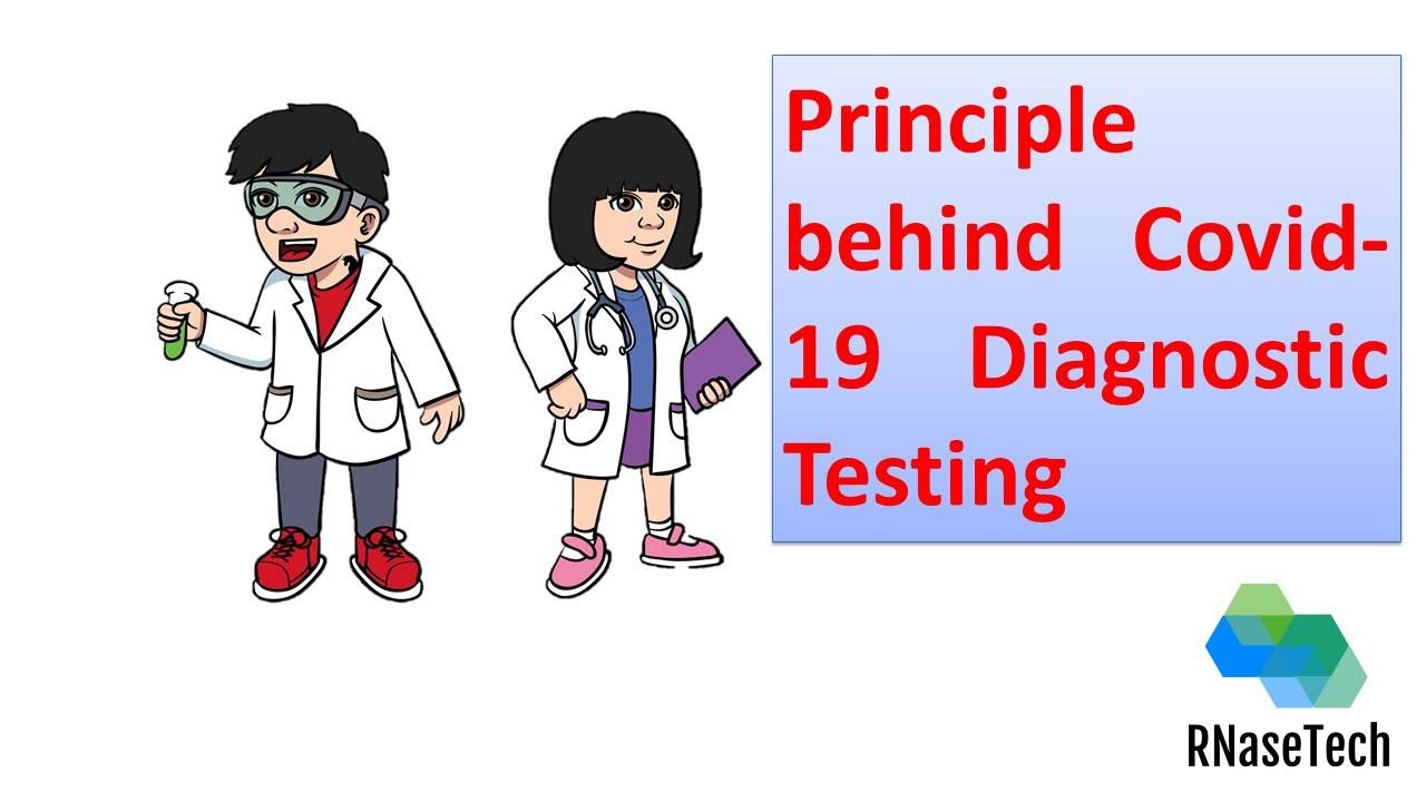 Principle of Covid -19 testing methods.How to test for Covid 19? Covid 19 kits working explained