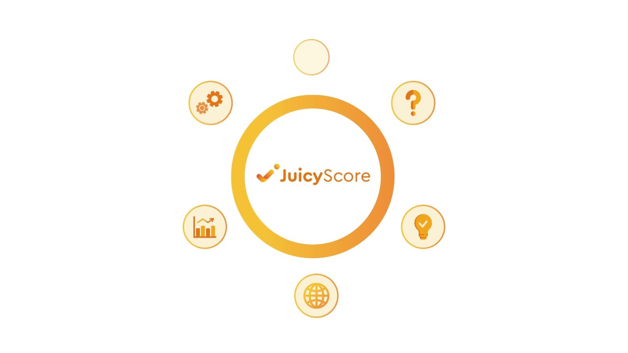JuicyScore: the best fraud prevention solution for online business