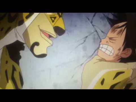 Monkey D Dragon Believes in Luffy | One Piece Amino